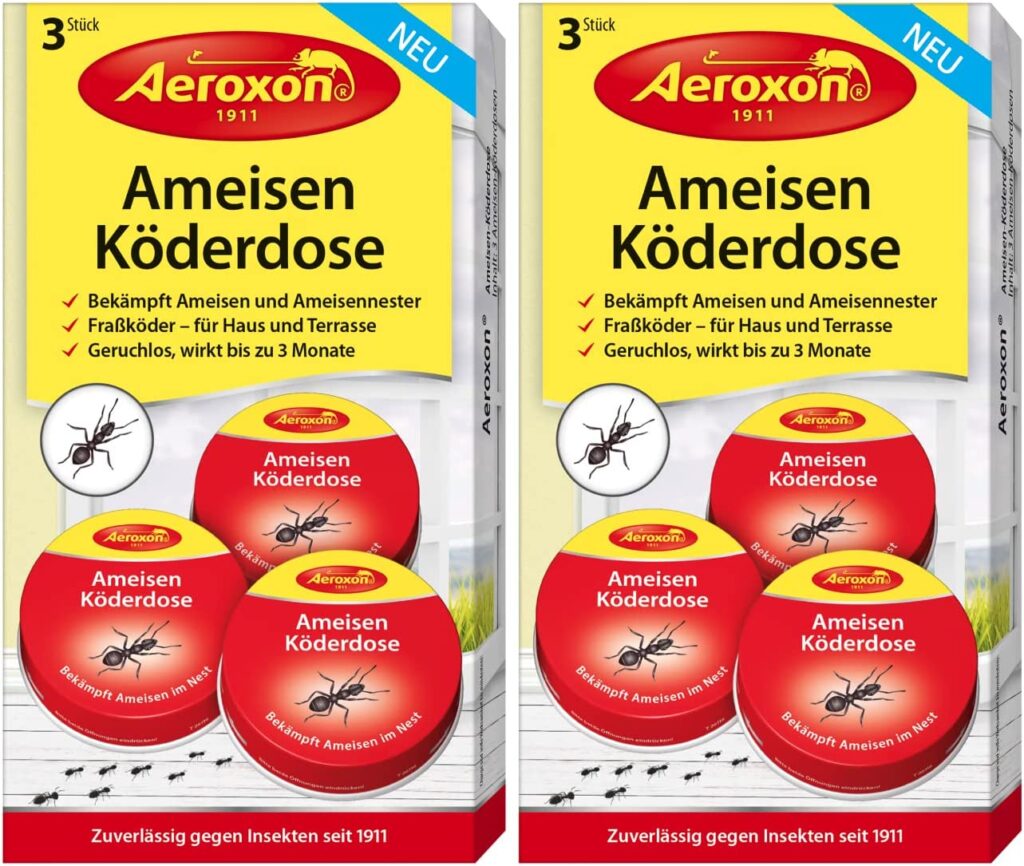 Wie Funktionieren Ameisenkoder